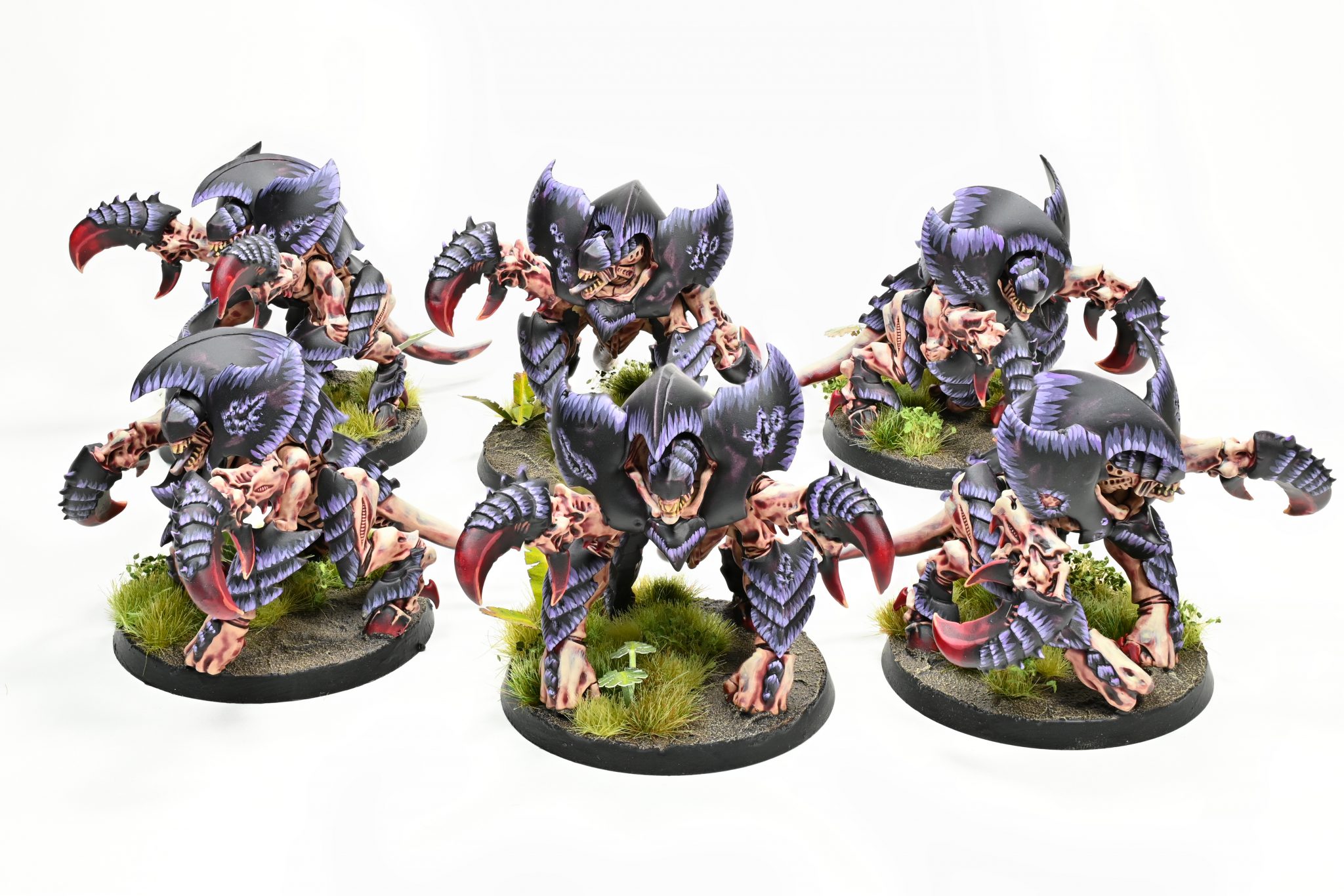 Detachment Focus: Assimilation Swarm (Updated December 30, 2024 ...