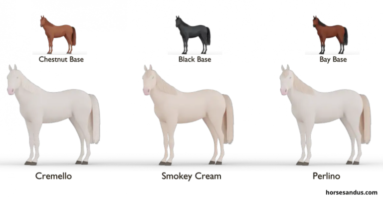 Goonhammer Historicals: How To Paint Everything – Horses | Goonhammer