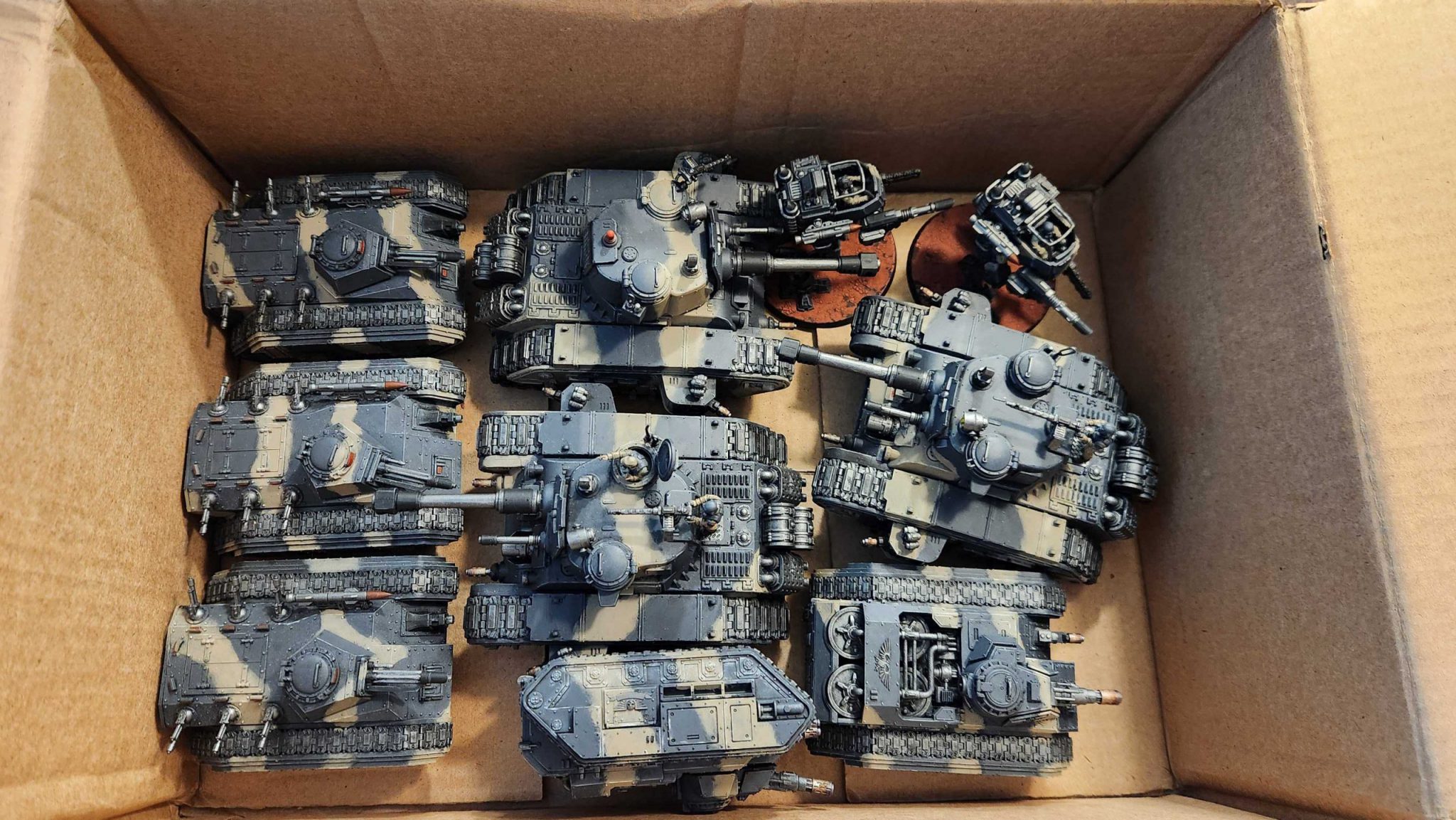 TheChirurgeon’s Road Through 2025, Part 3: Flyblown Host Against New ...