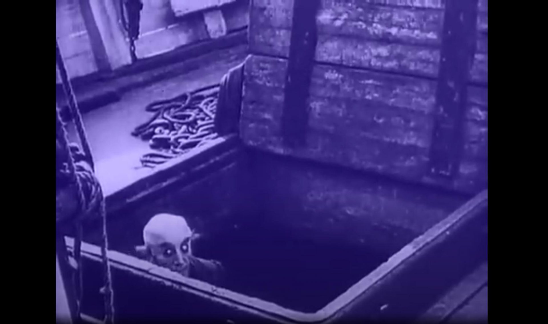 Century of the Vampire: Nosferatu – A Symphony of Horror (1922 ...