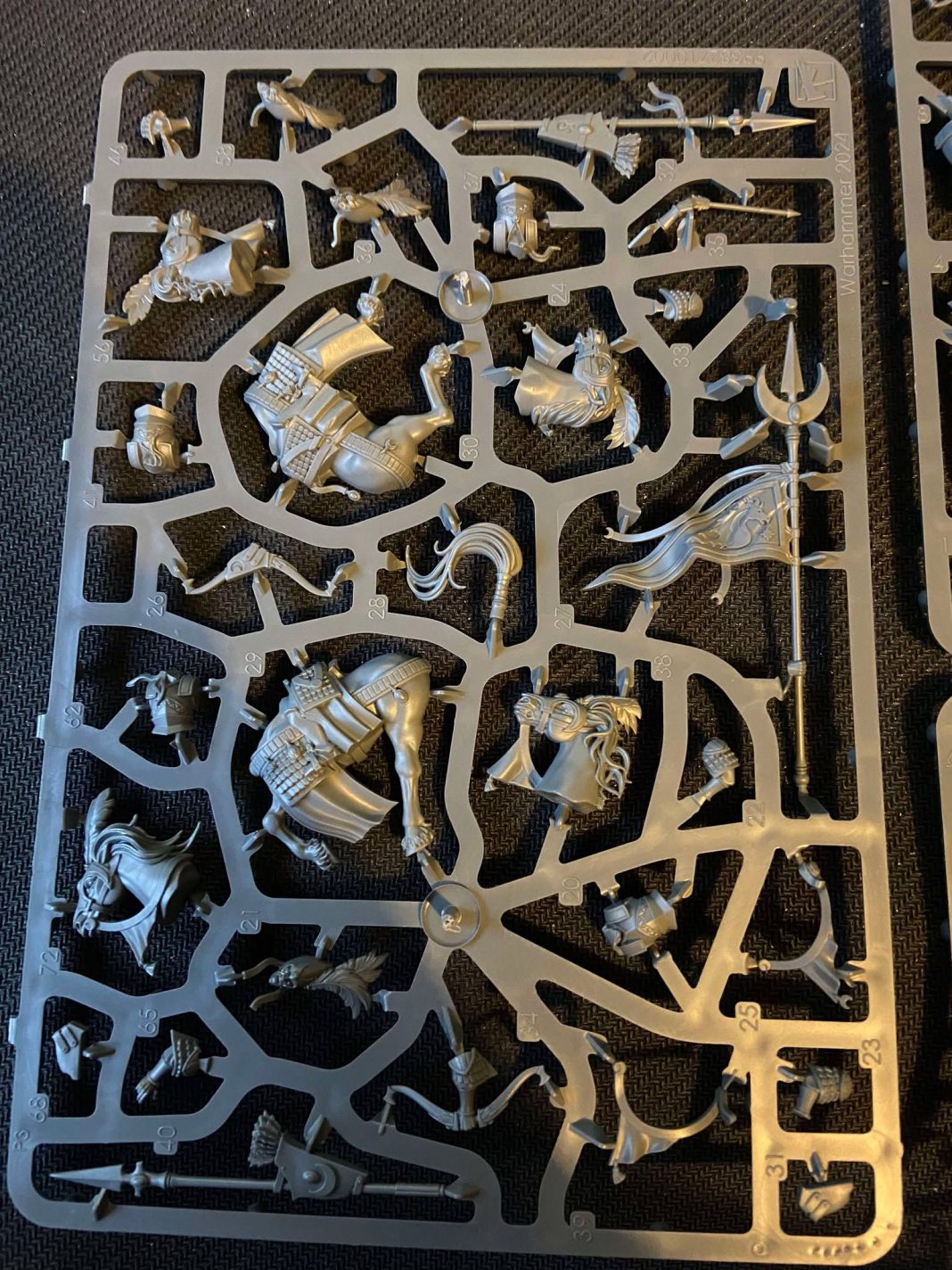 The Old World: Ellyrian Reavers – The Goonhammer Review | Goonhammer