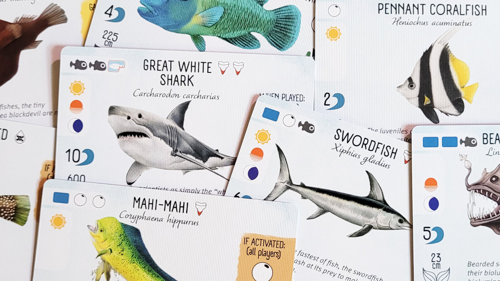 Finspan – The Goonhammer Review | Goonhammer