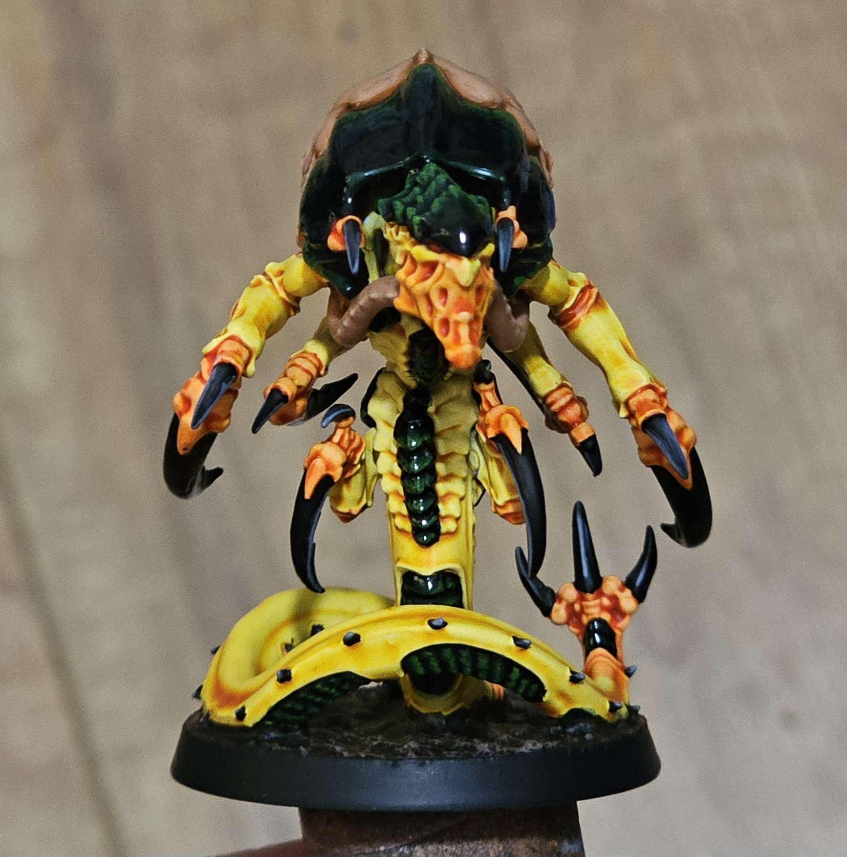 Kill Team Typhon: Raveners Review | Goonhammer